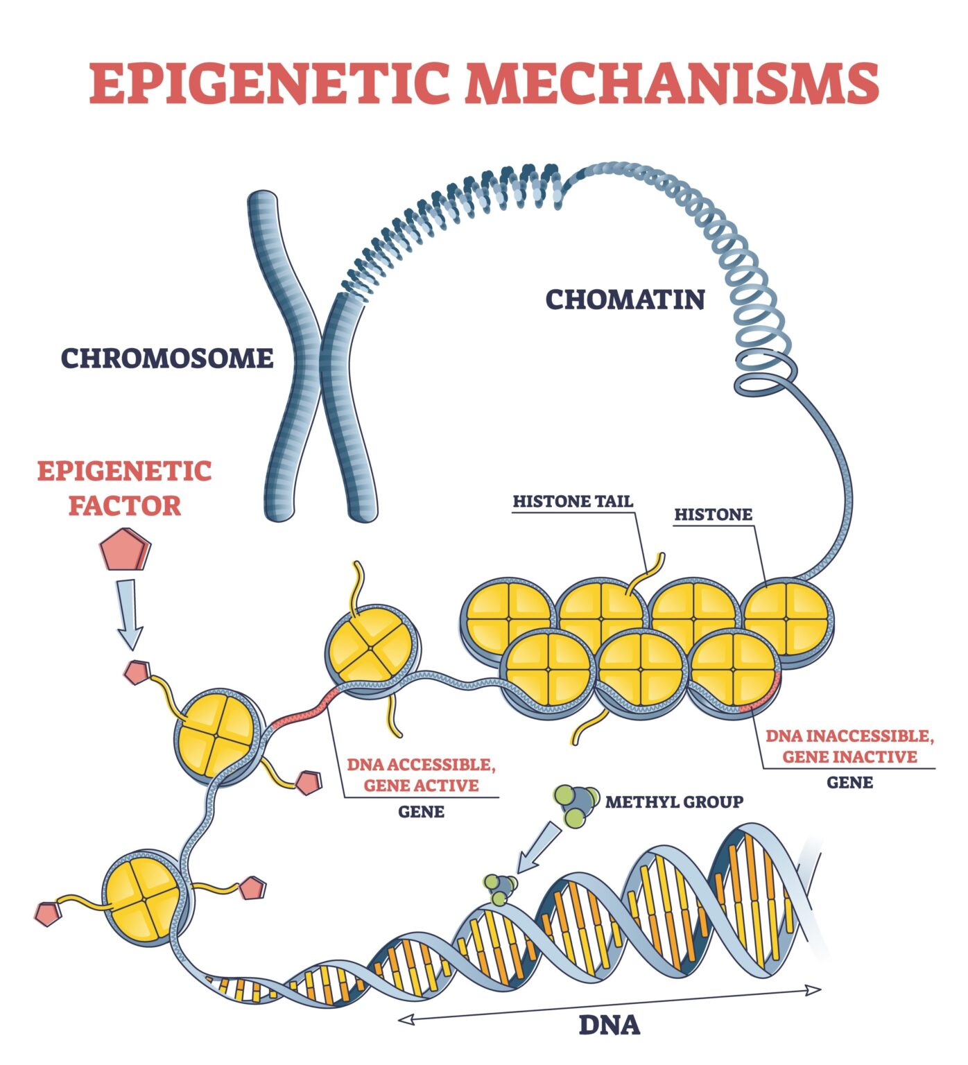 More Than DNA: Unlocking the “Ghost” of Inherited Trauma and Addiction ...